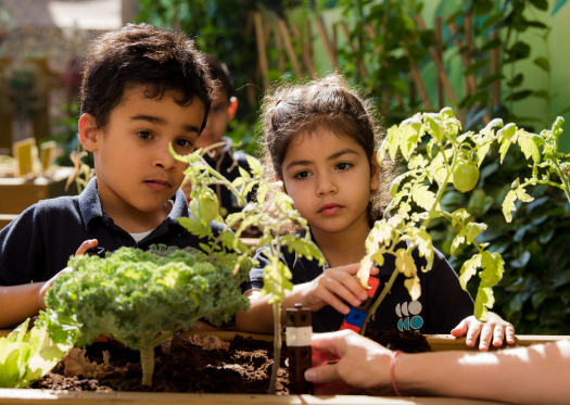ipo | Taaleem | International School Providers in UAE
